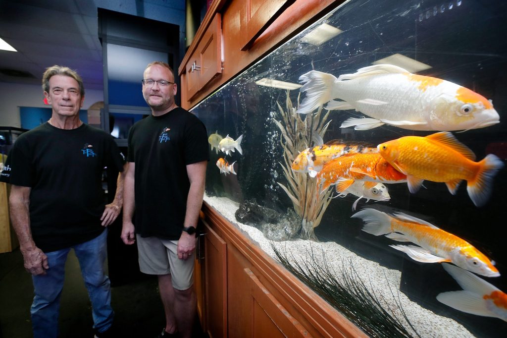 The Best Fish Tank Filters for Different Types of Fish – Anaheim Police ...